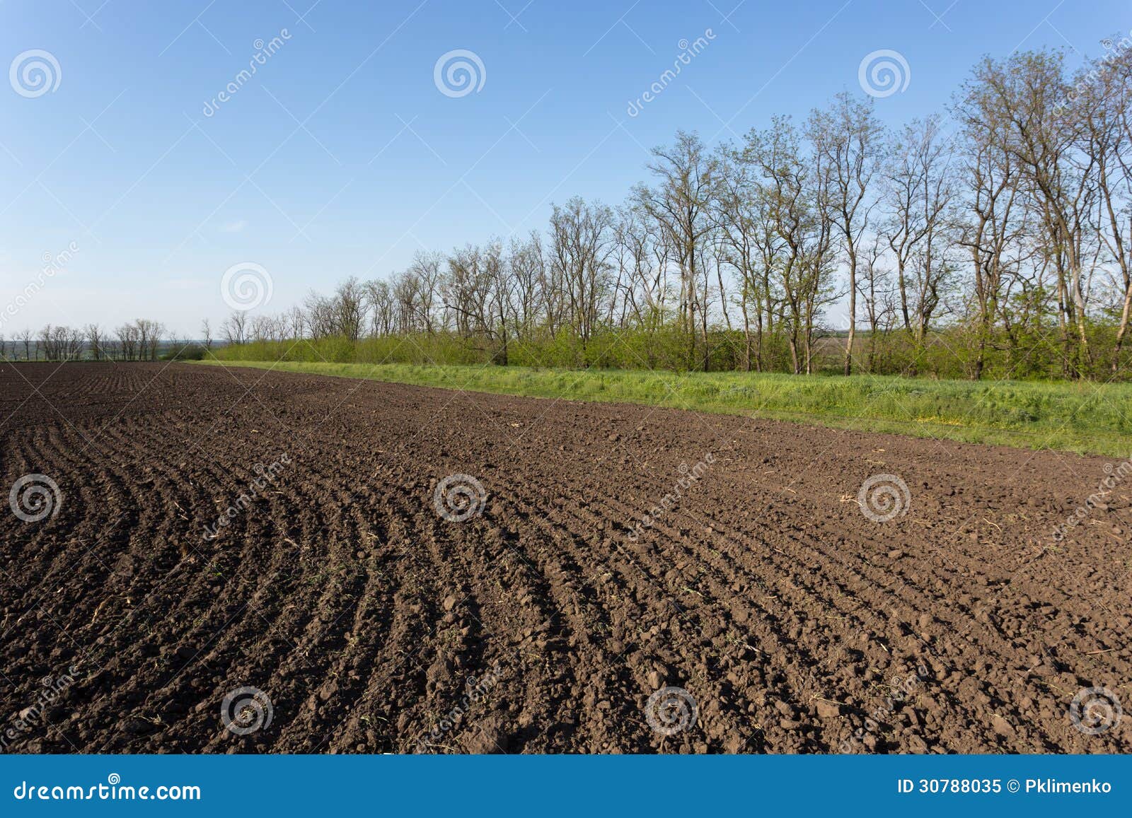 Champ labouré image stock. Image du cadre, fond, environnement - 30788035