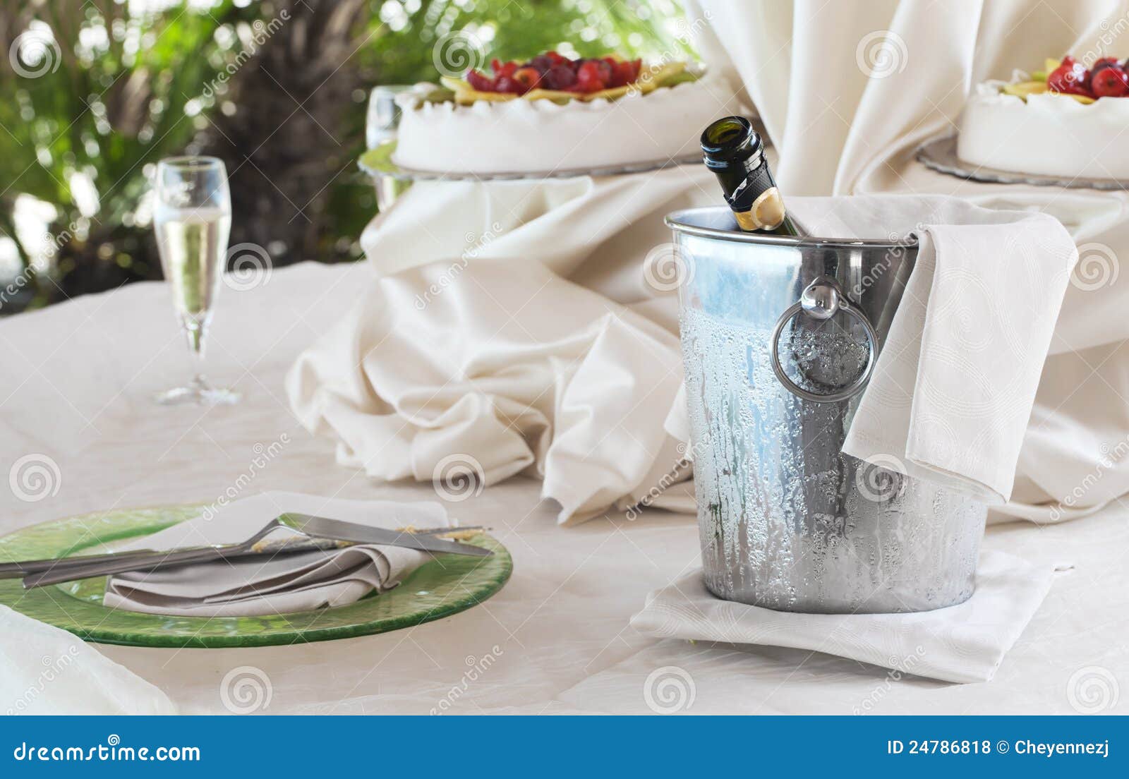 Champagne em uma cubeta foto de stock. Imagem de partido - 24786818