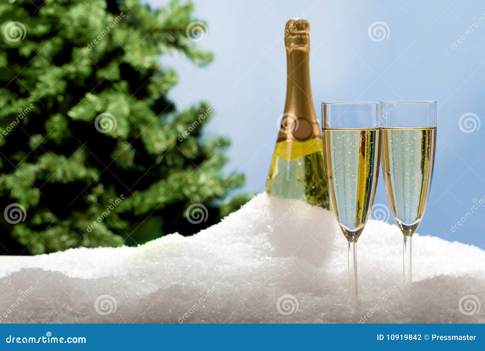 Champagne flutes in snow stock photo. Image of party - 10919842