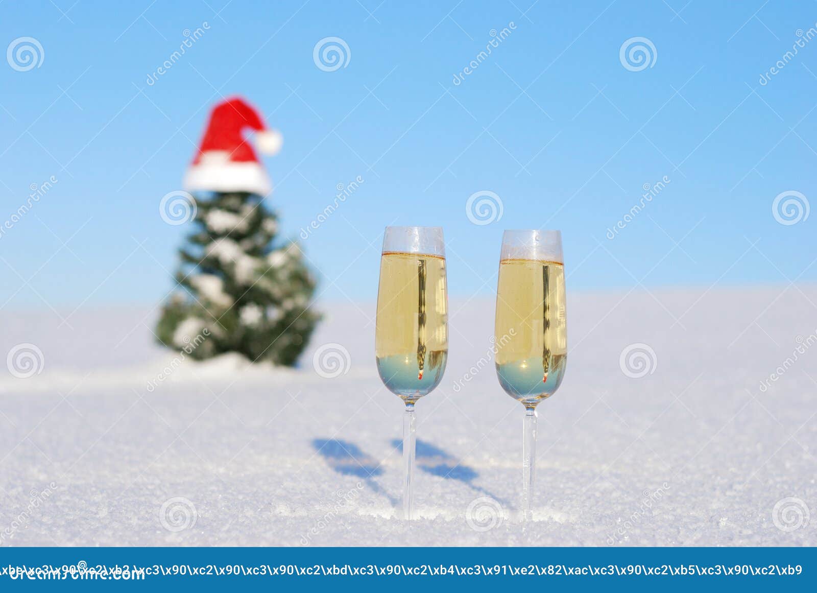 Champagne glasses in snow stock photo. Image of gold - 17191244