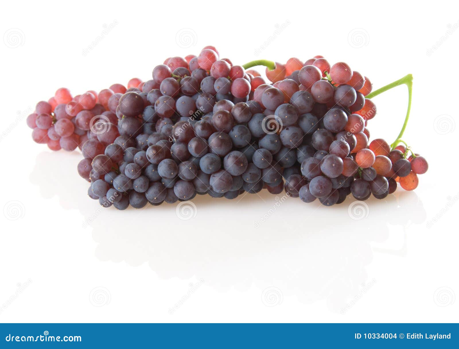 Champagne Grapes stock photo. Image of isolated, delicious - 10334004