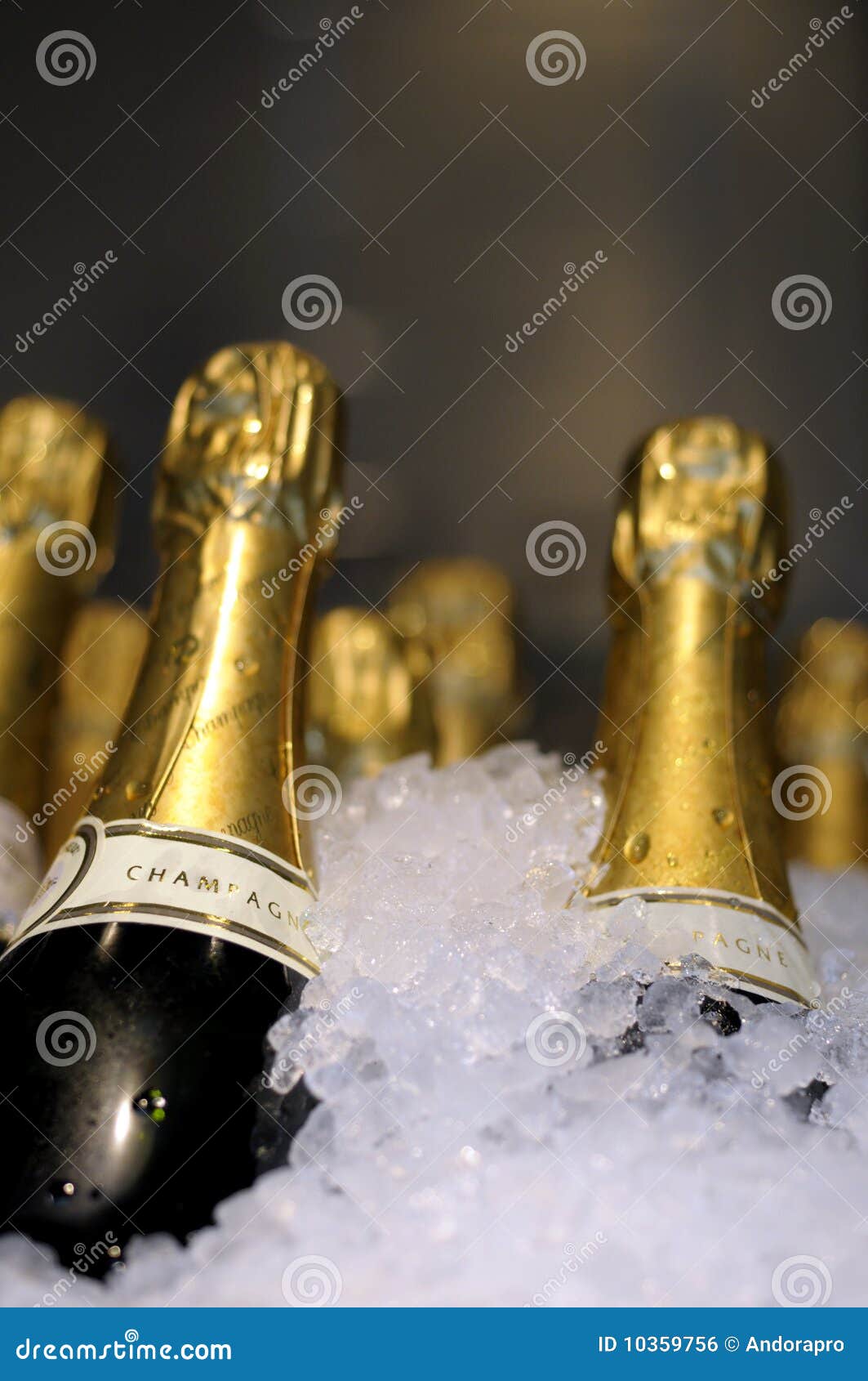 Champagne on ice. stock photo. Image of sparkling, restaurant - 10359756
