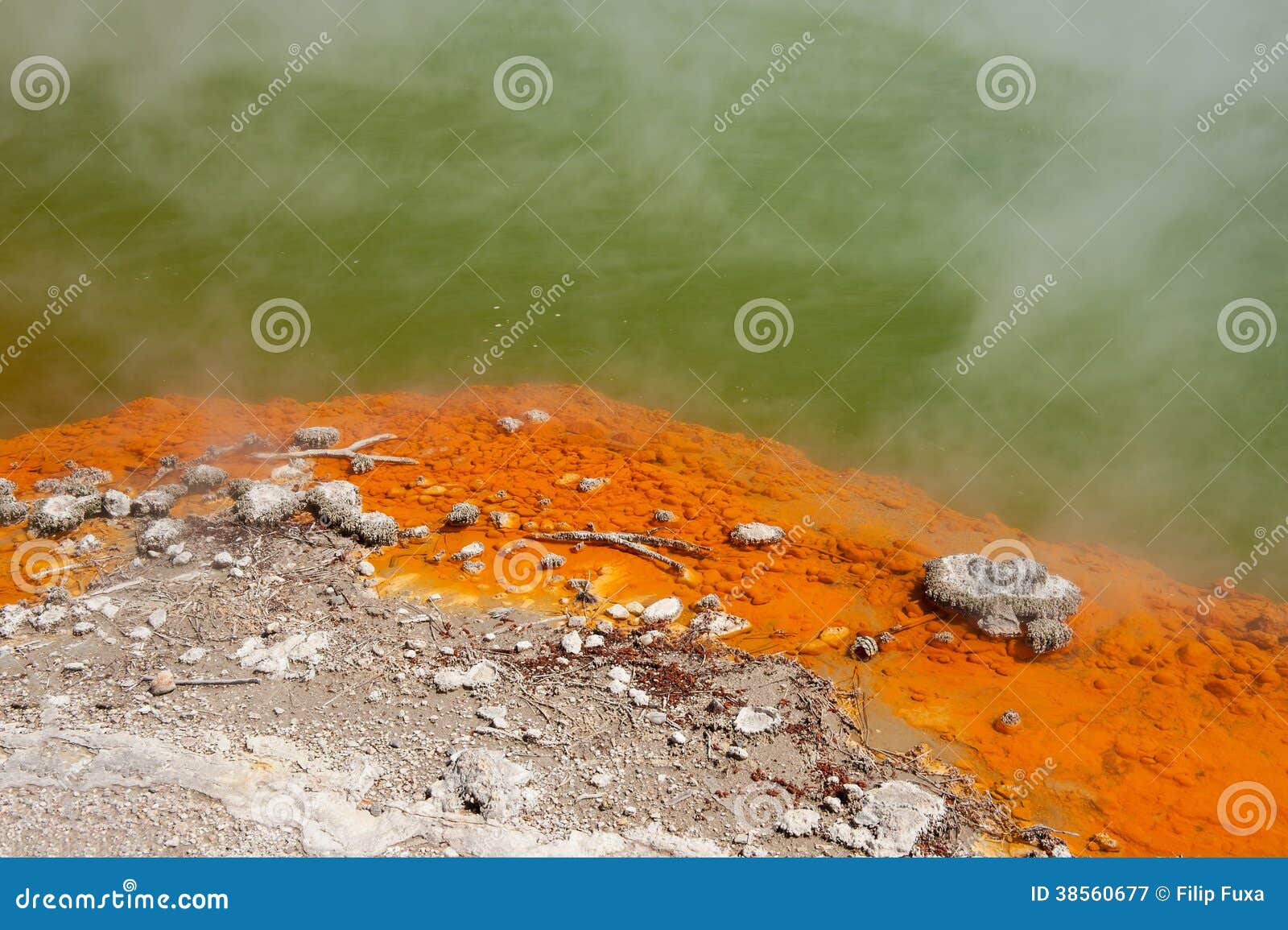 Champagne pool stock image. Image of champagne, splash - 38560677