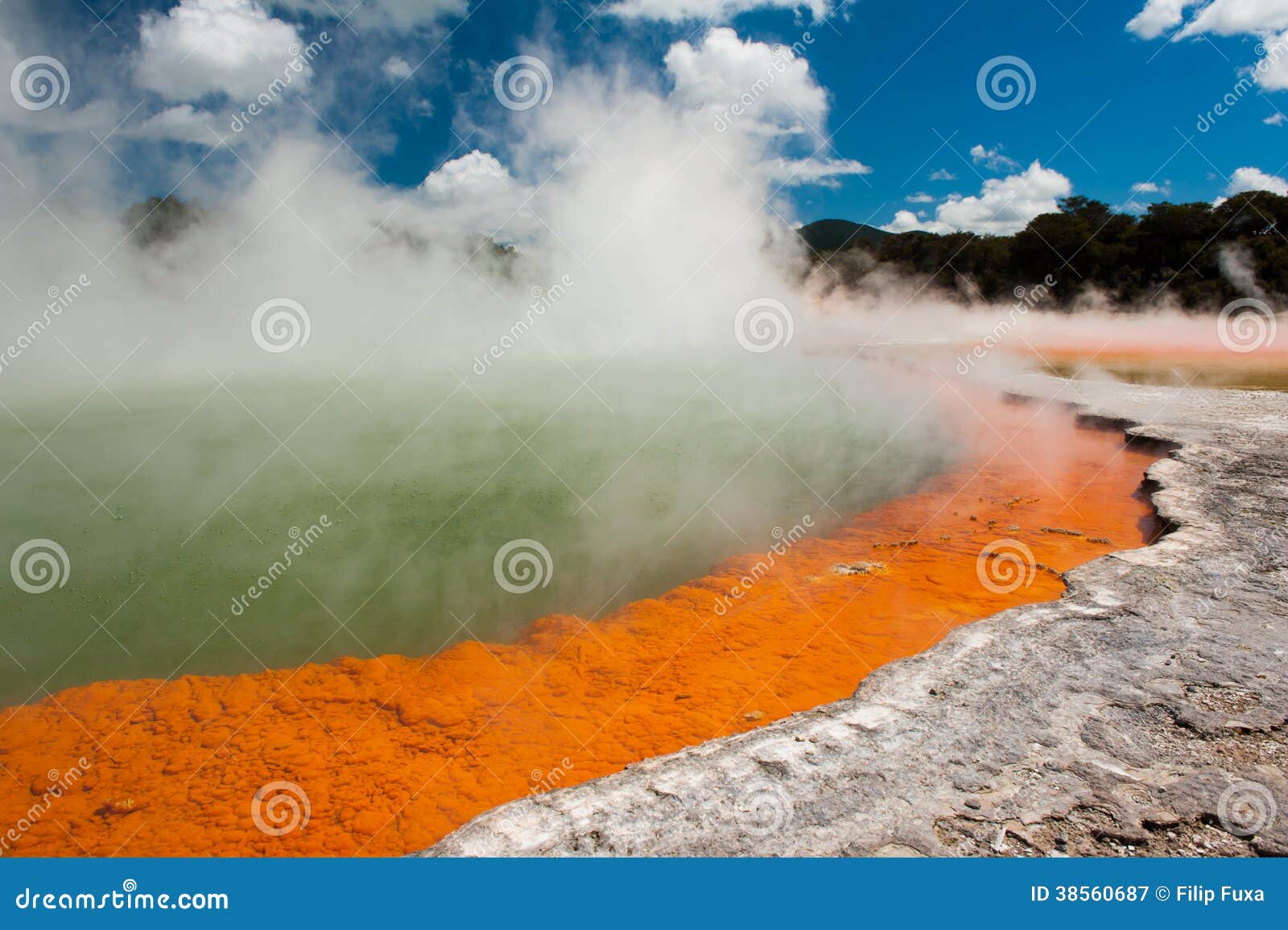 Champagne pool stock image. Image of brown, colorful - 38560687