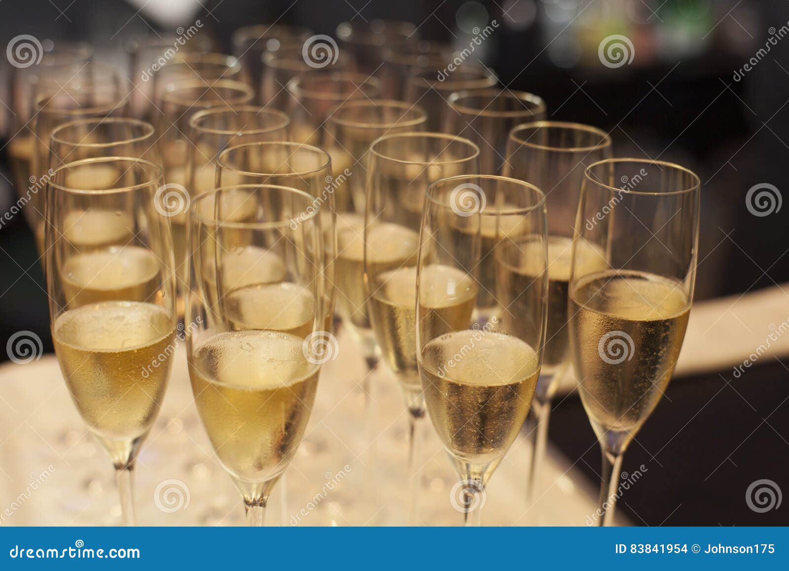 Champagne Reception stock photo. Image of bubbly, tray - 83841954
