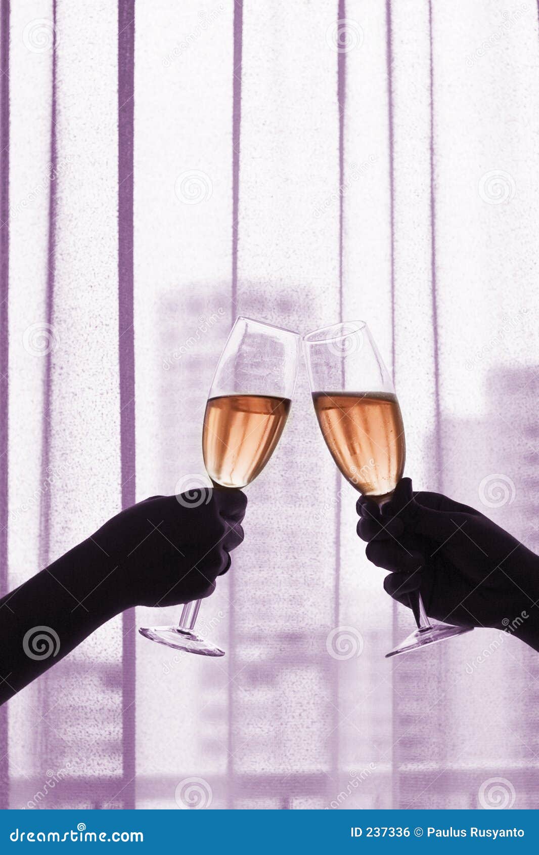 Champagne (Red Wine) Toast stock photo. Image of agreement - 237336