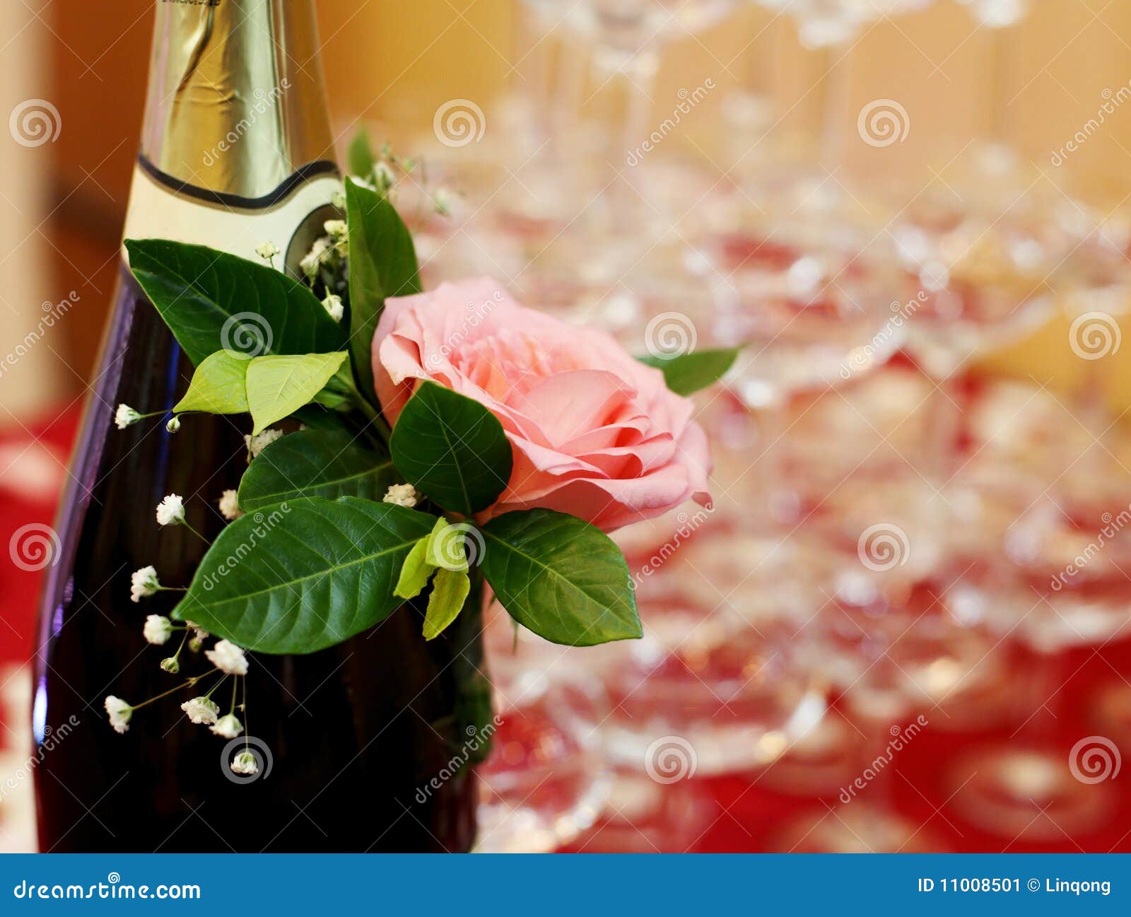 Champagne with Rose Close-up Stock Image - Image of bloom, green: 11008501