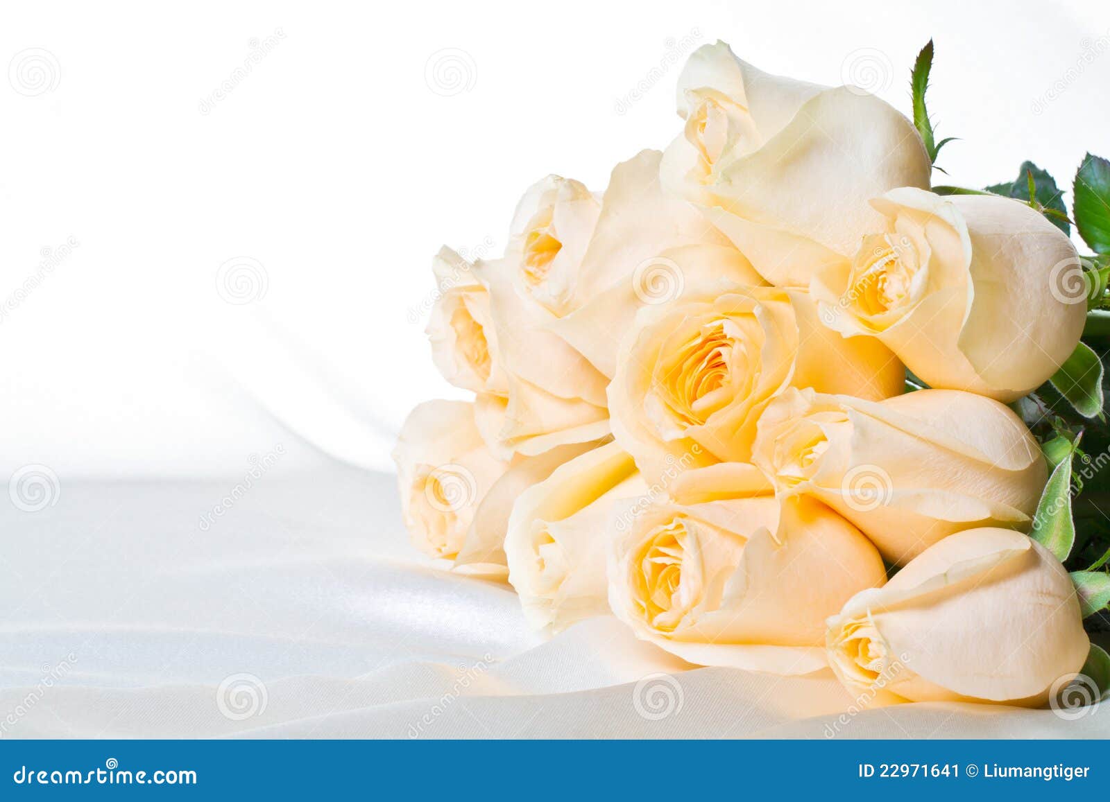 Champagne Roses Stock Photos - Download 3,779 Royalty Free Photos