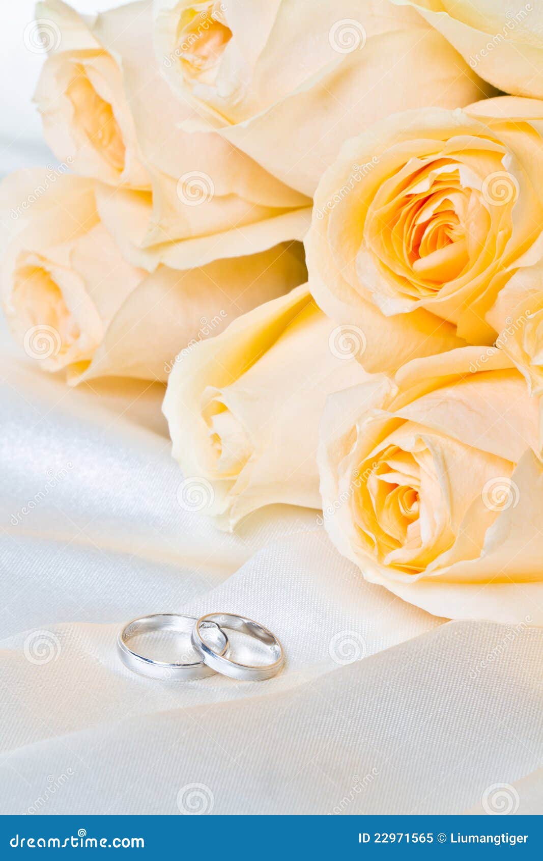 Champagne roses with rings stock image. Image of romantic - 22971565