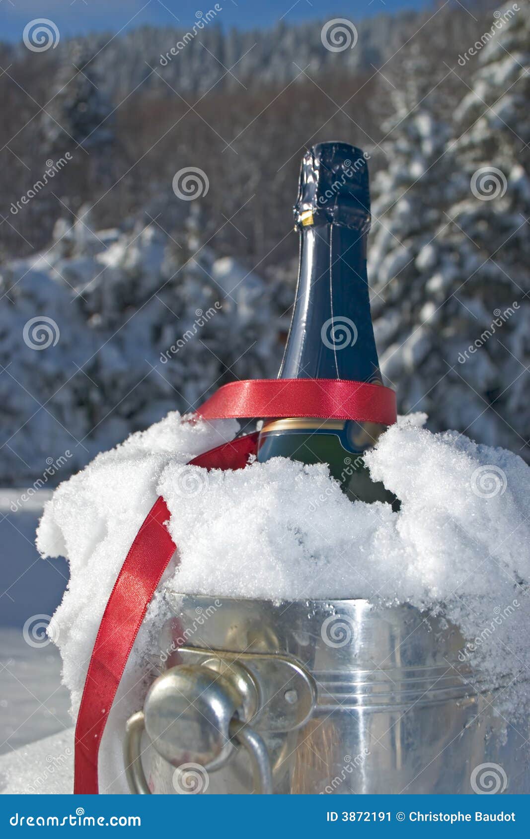Champagne in snow stock image. Image of flute, gastronomy - 3872191