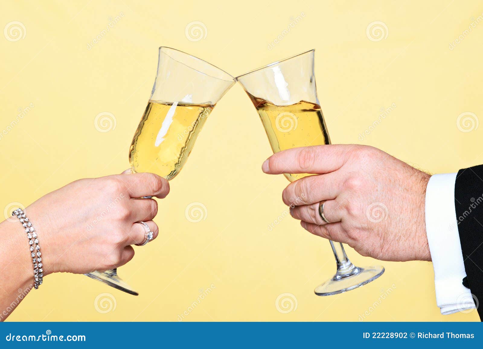 Champagne toast stock photo. Image of drink, party, sparkling - 22228902