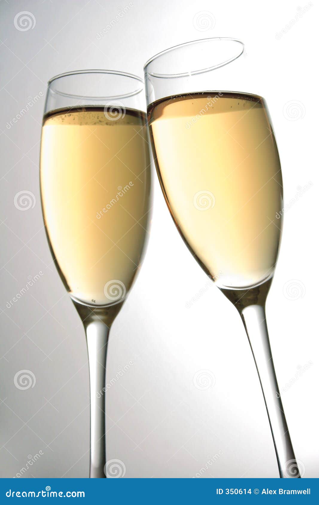 Champagne Toast stock photo. Image of wine, party, champagne - 350614