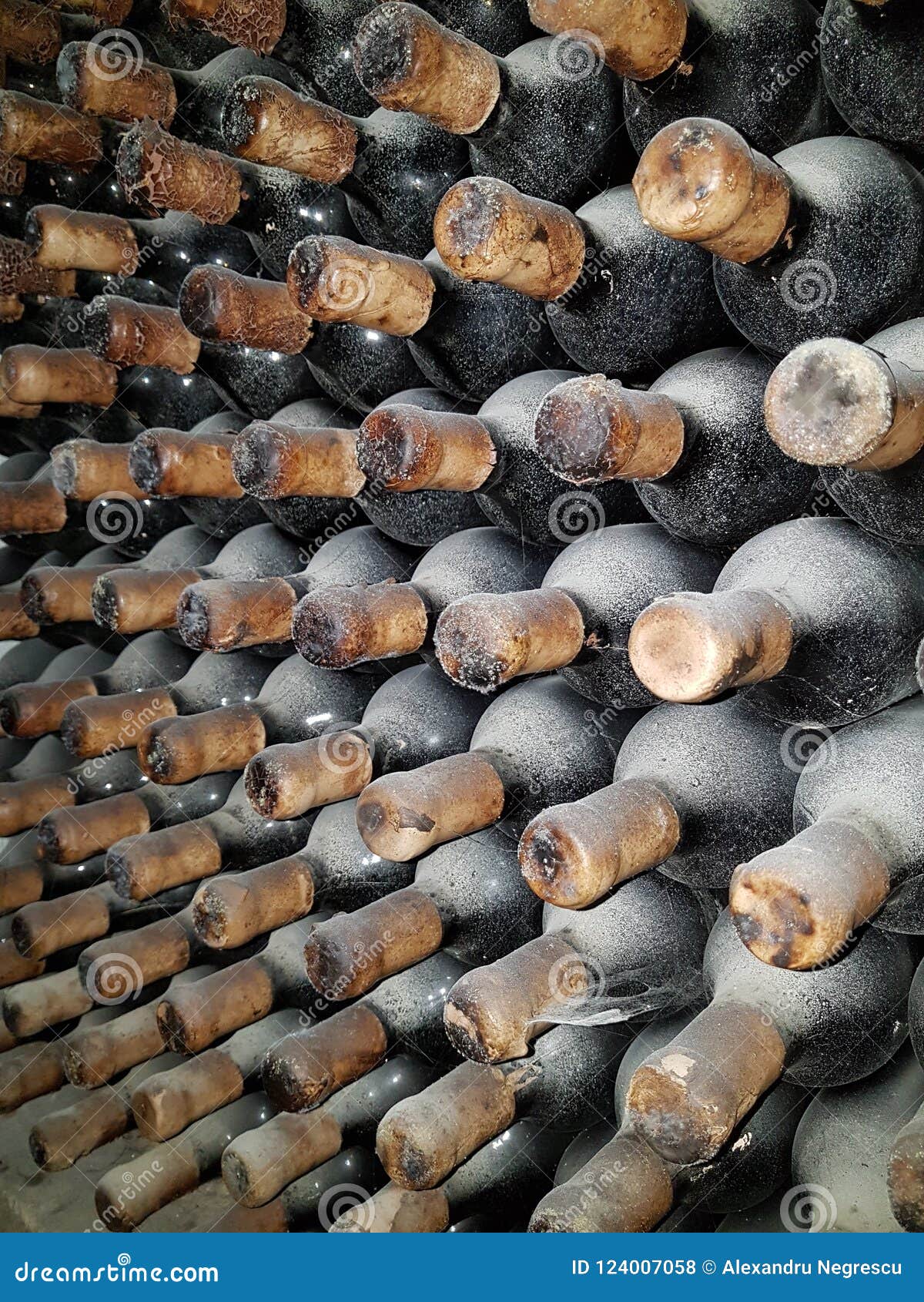 Old Wine Wine Cellar Grape Wine Winery Stock Photo - Image of winery ...