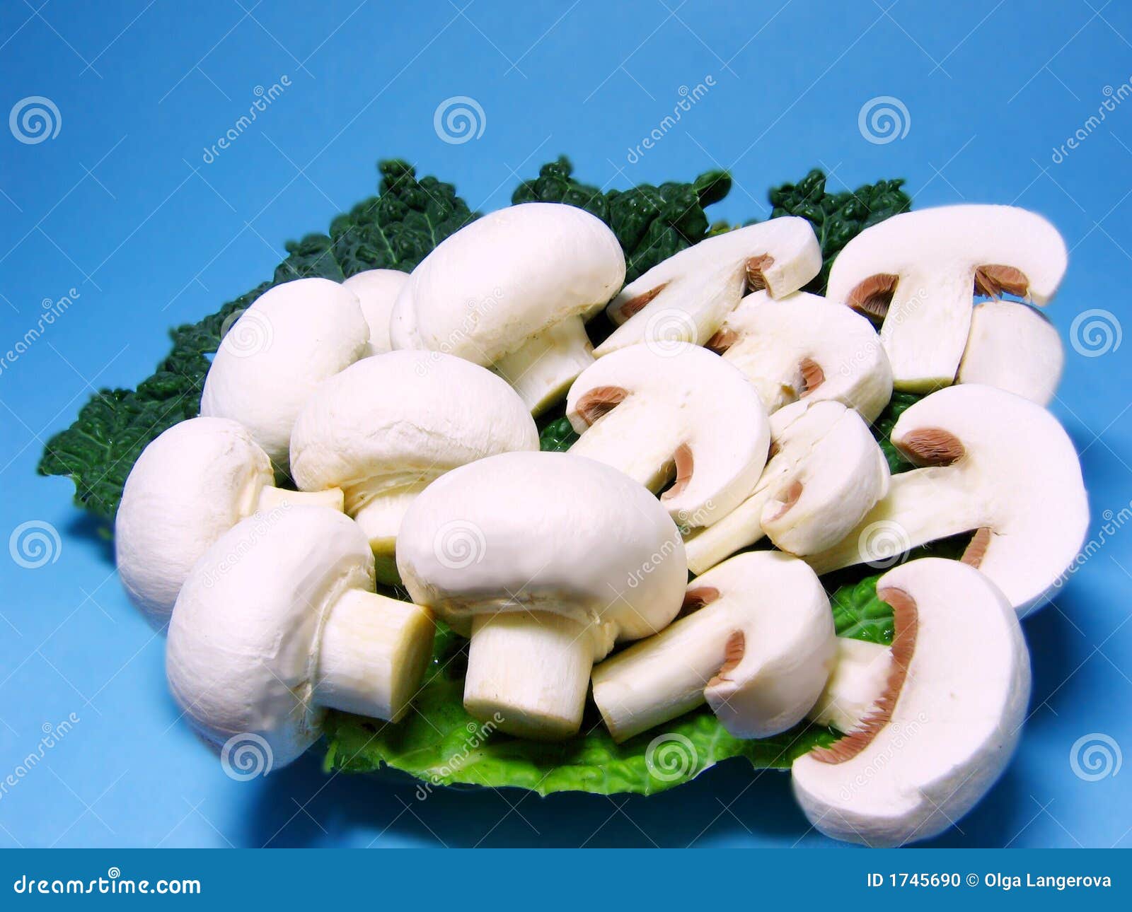 Champignon stock photo. Image of delicious, edible, autumn - 1745690