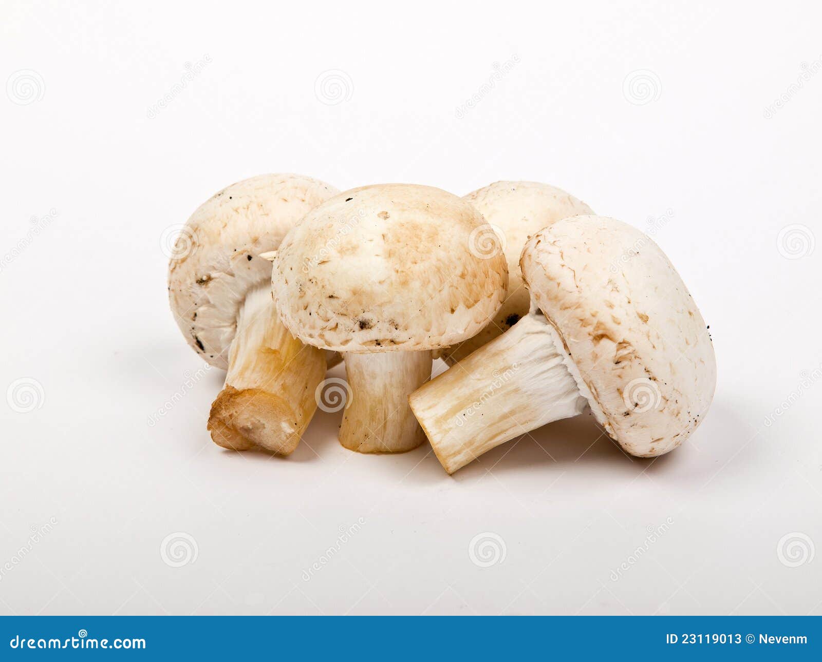 Champignon stock image. Image of vegetable, heap, descriptive - 23119013