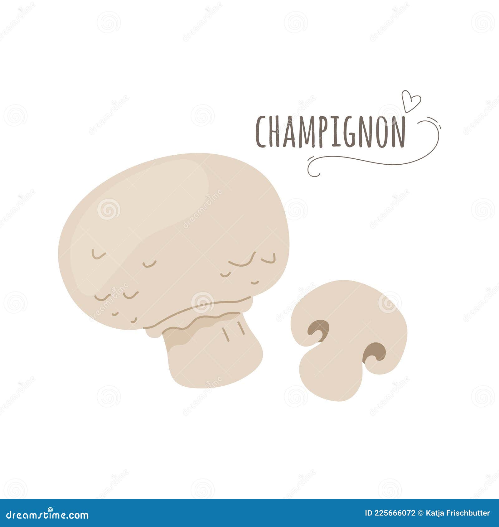 Agaricus. Vector Drawing | CartoonDealer.com #55216530