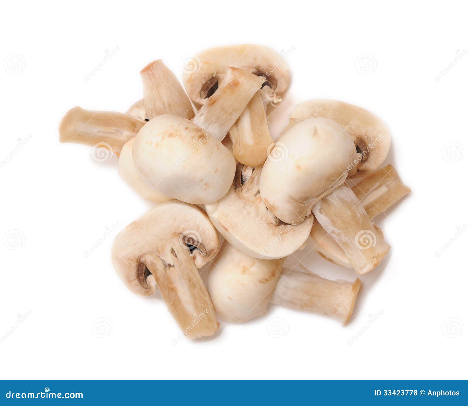 Champignon stock photo. Image of vegetarian, champignon - 33423778