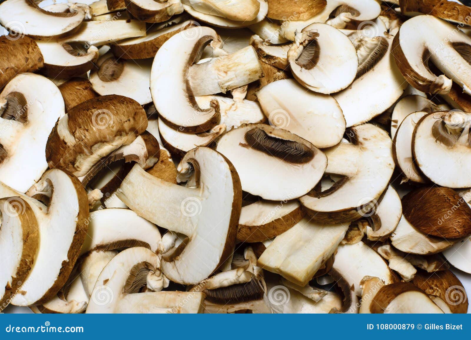 Champignon De Paris - Champignon De Paris De Paris Image stock - Image ...