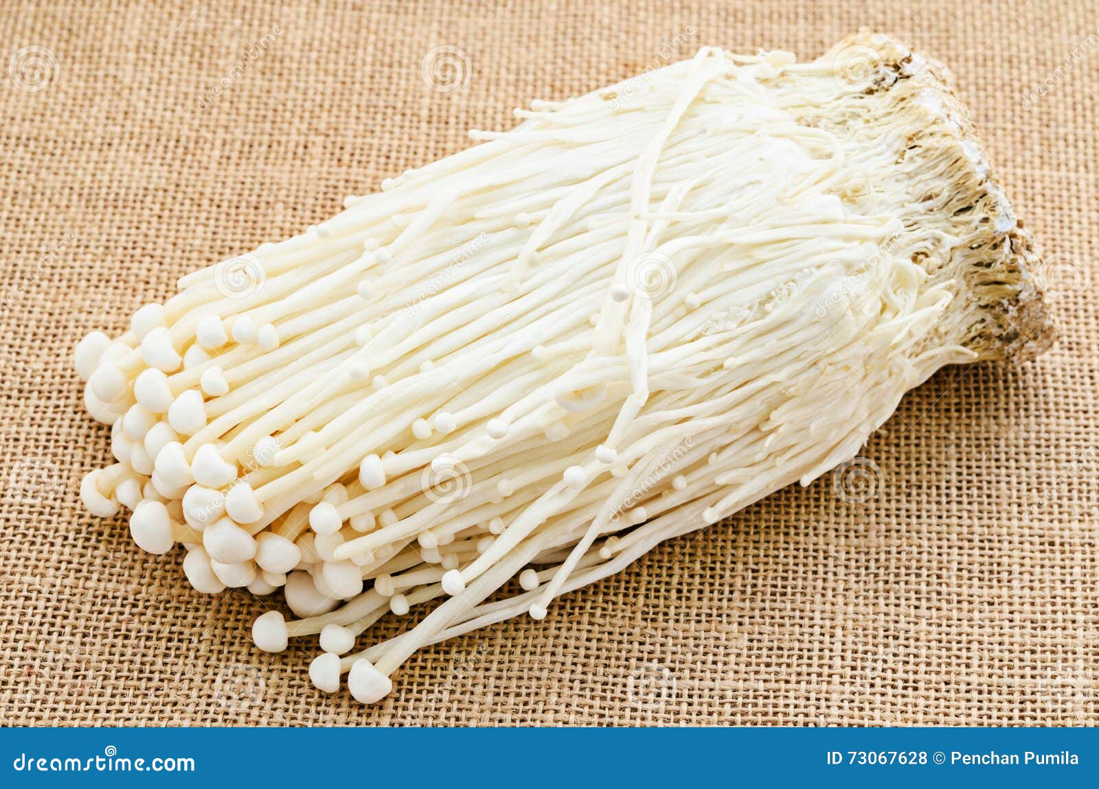 Champignon frais d'enoki photo stock. Image du nourriture - 73067628