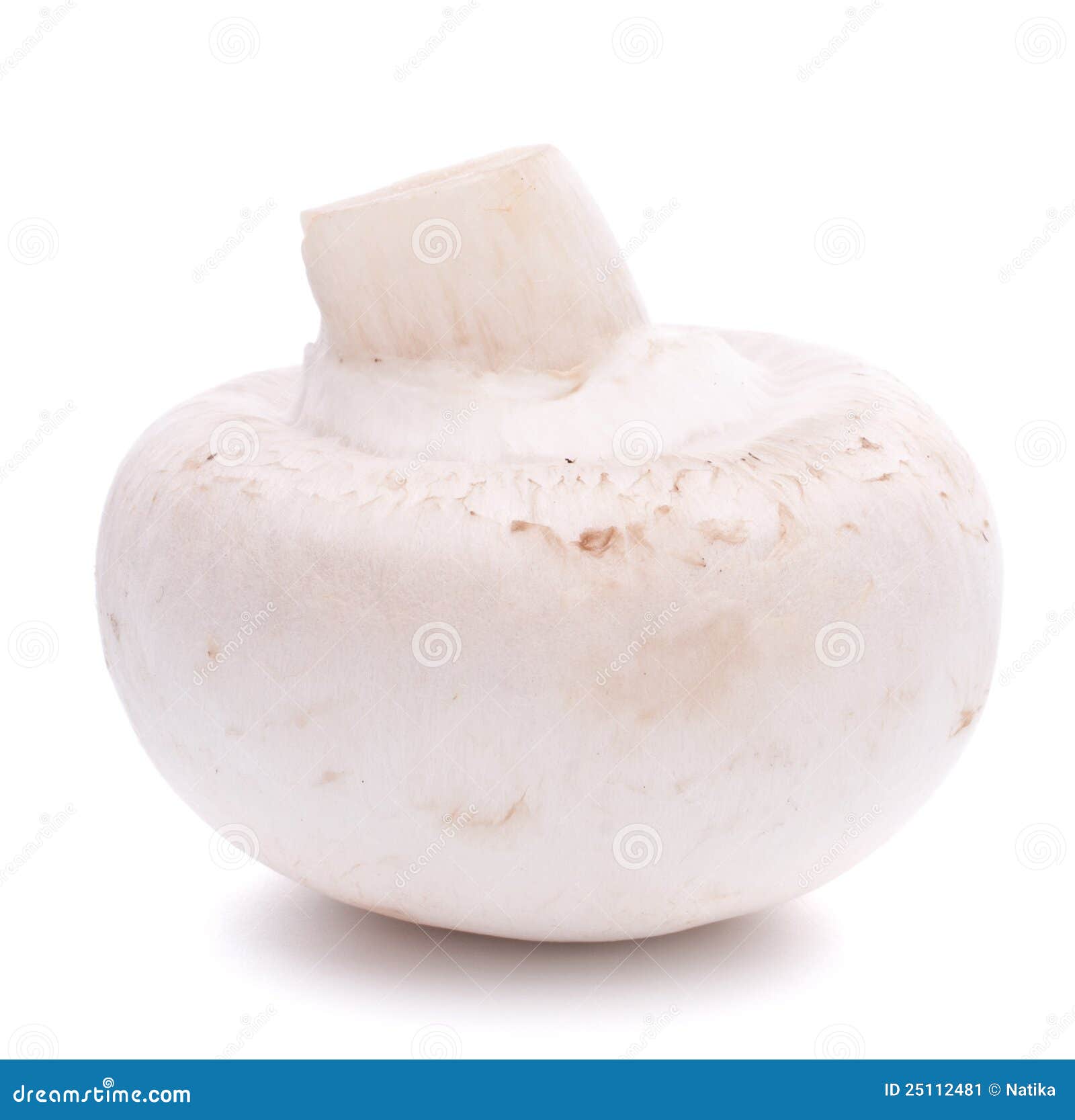 Champignon mushroom stock image. Image of nature, healthy - 25112481