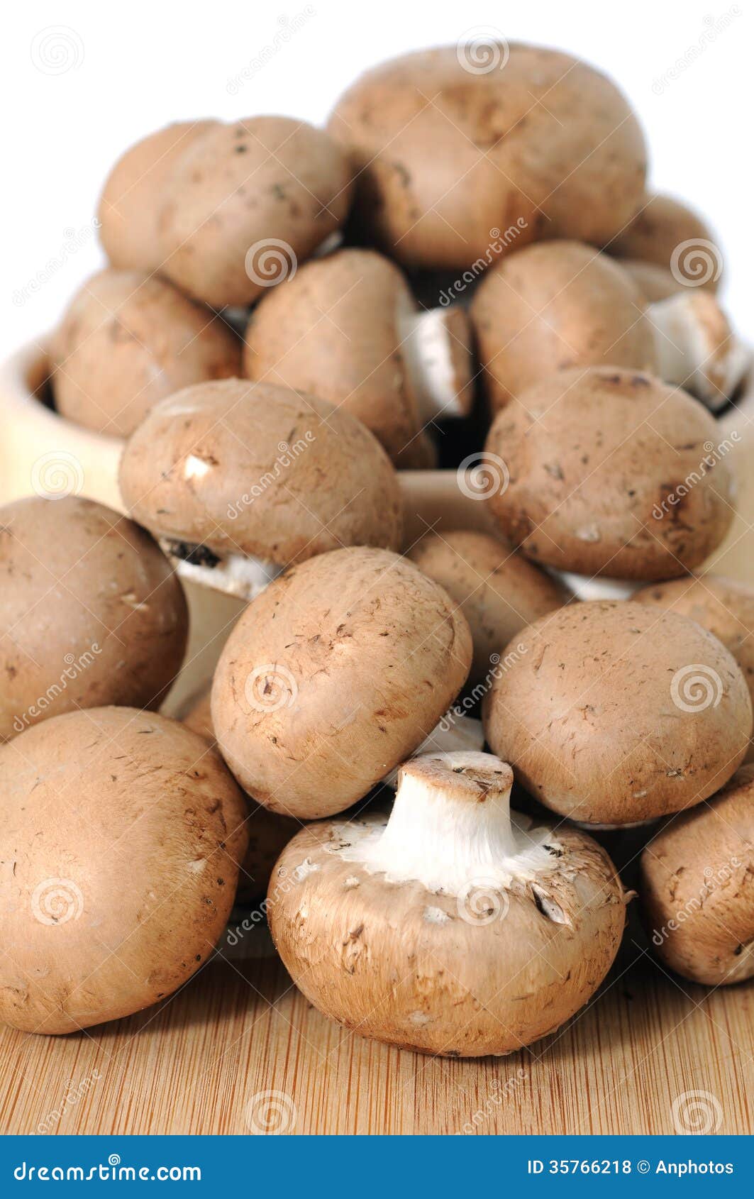 Champignon mushroom stock photo. Image of wood, ingredient - 35766218