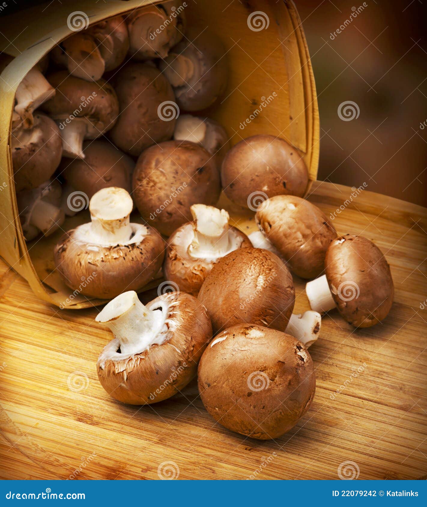 Champignon Mushroom, Brown Variety Stock Photo - Image of mushrooms ...
