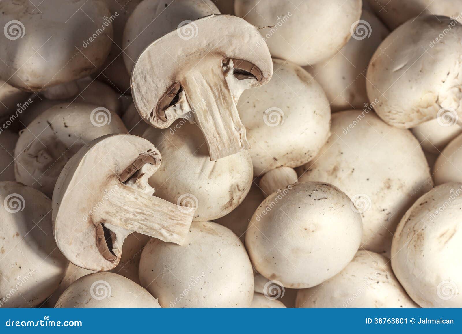 Champignon Mushroom stock image. Image of gourmet, health - 38763801