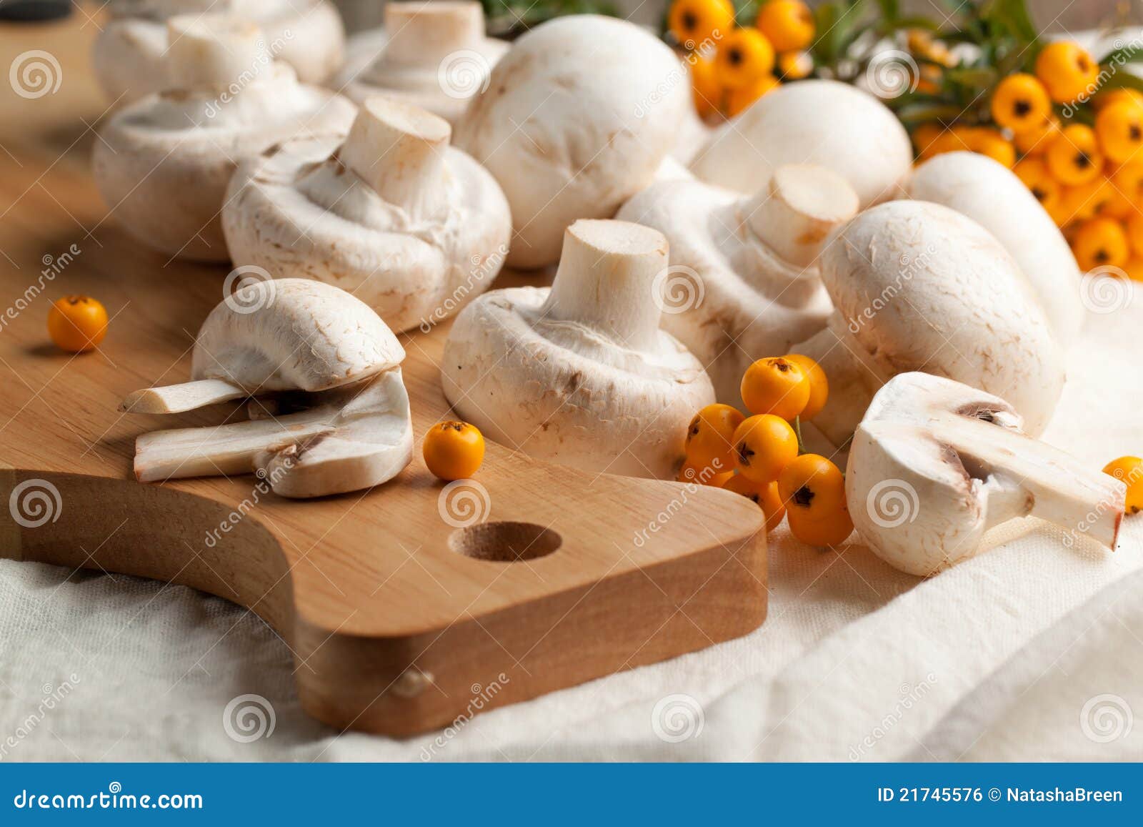 Champignon mushrooms stock photo. Image of intact, peel - 21745576
