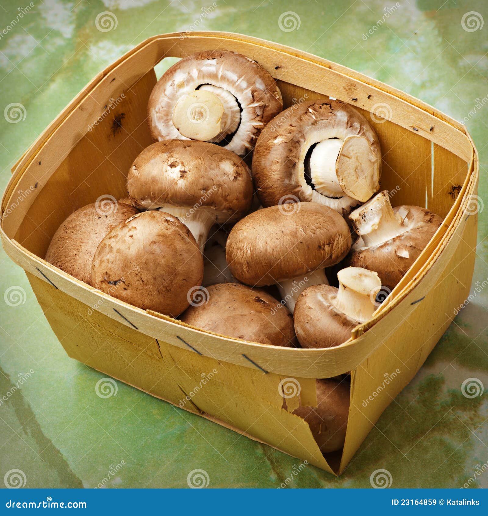 Champignon Mushrooms with Brown Variety Stock Image - Image of kitchen ...