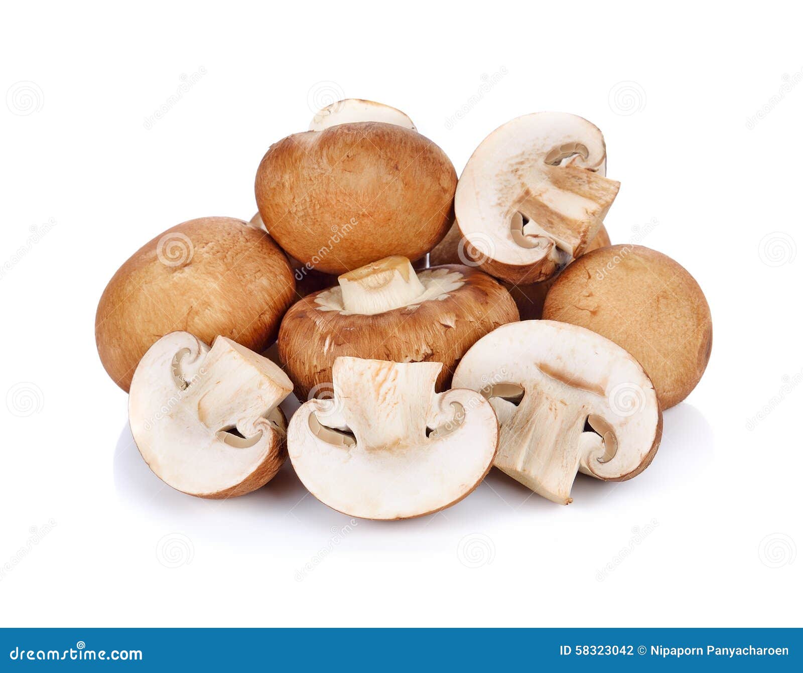 Champignon mushrooms stock photo. Image of market, fresh - 58323042