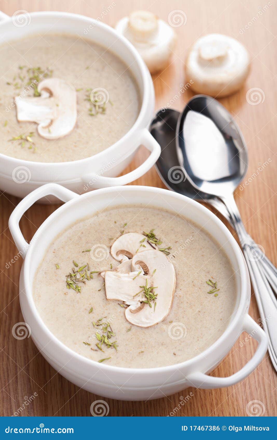 Champignon soup stock photo. Image of spices, lunch, special - 17467386