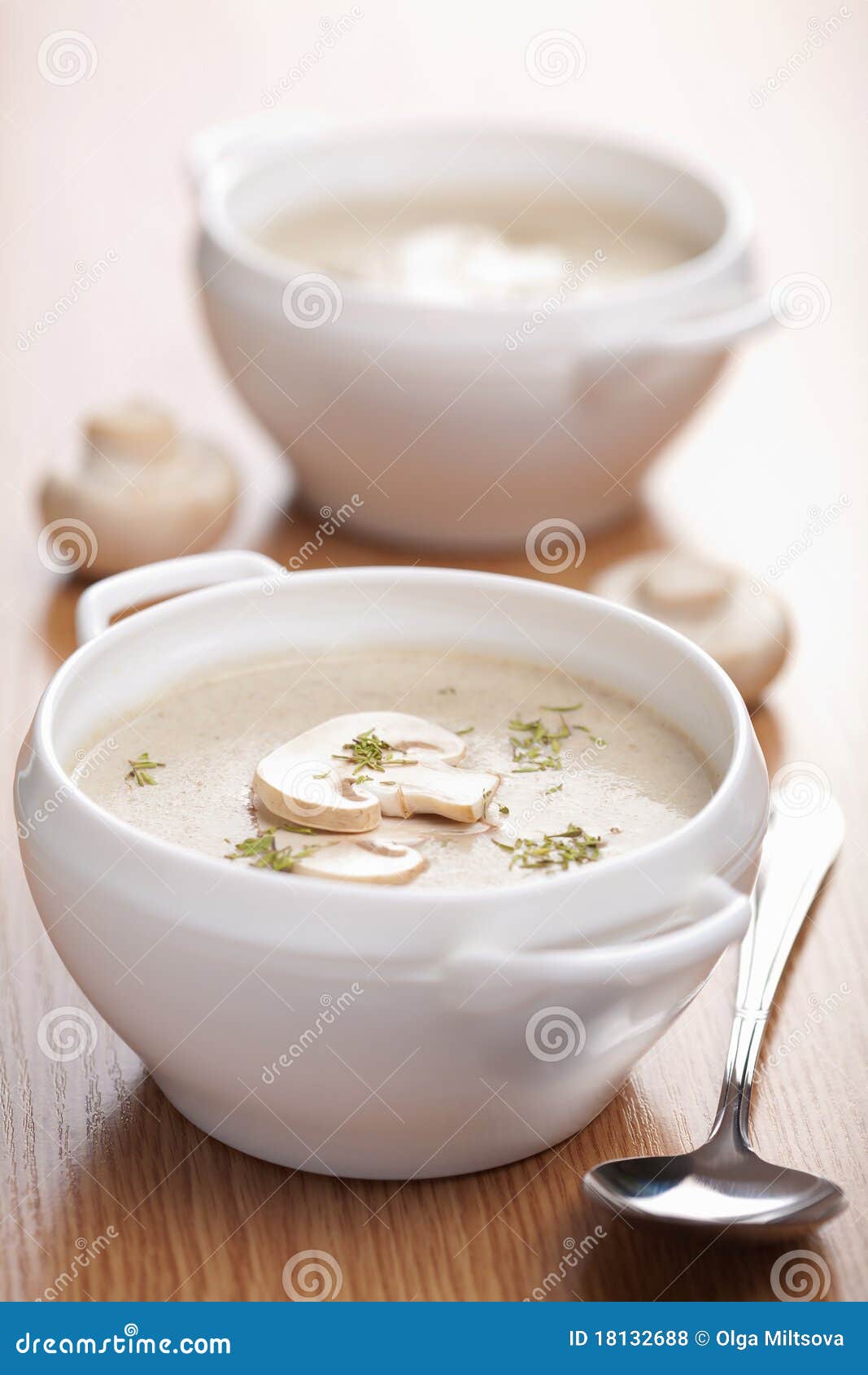 Champignon soup stock photo. Image of healthy, closeup - 18132688