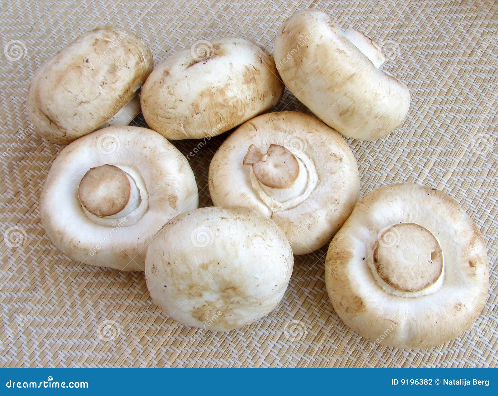 Champignons stock photo. Image of vegetable, cook, shampignon - 9196382