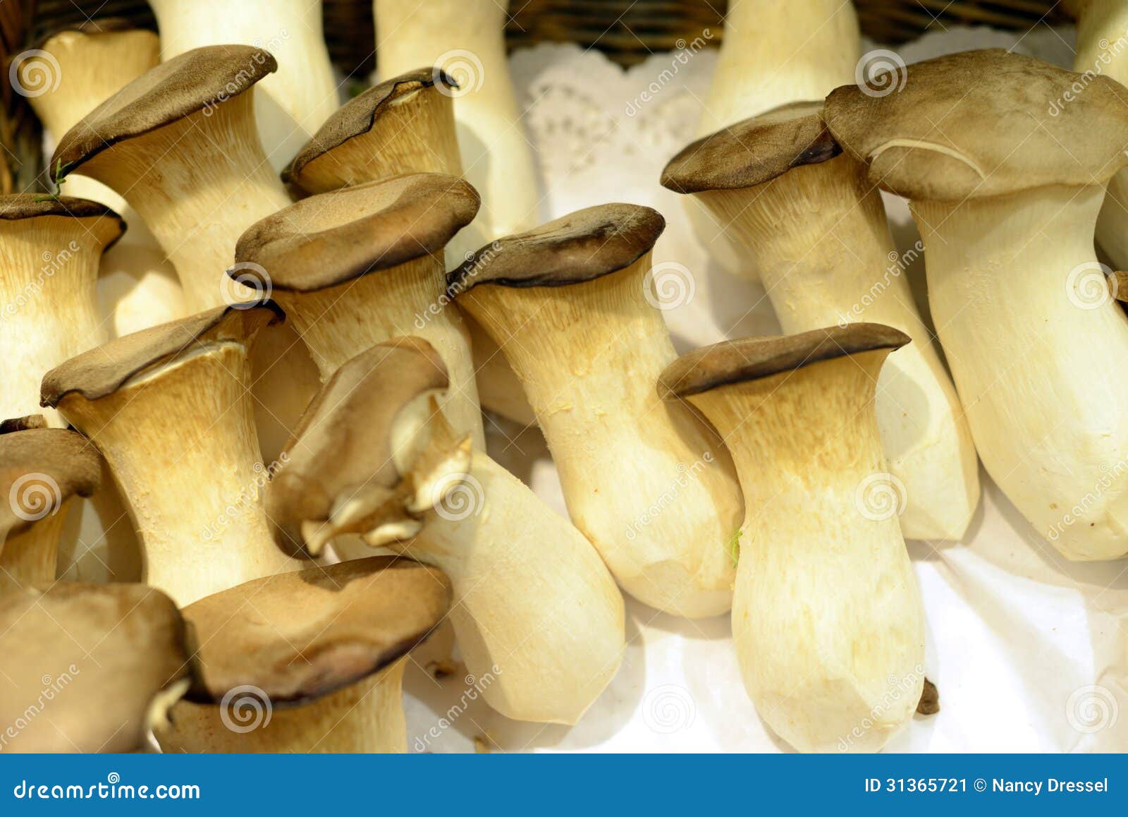 Champignons chinois frais image stock. Image du cuisine - 31365721