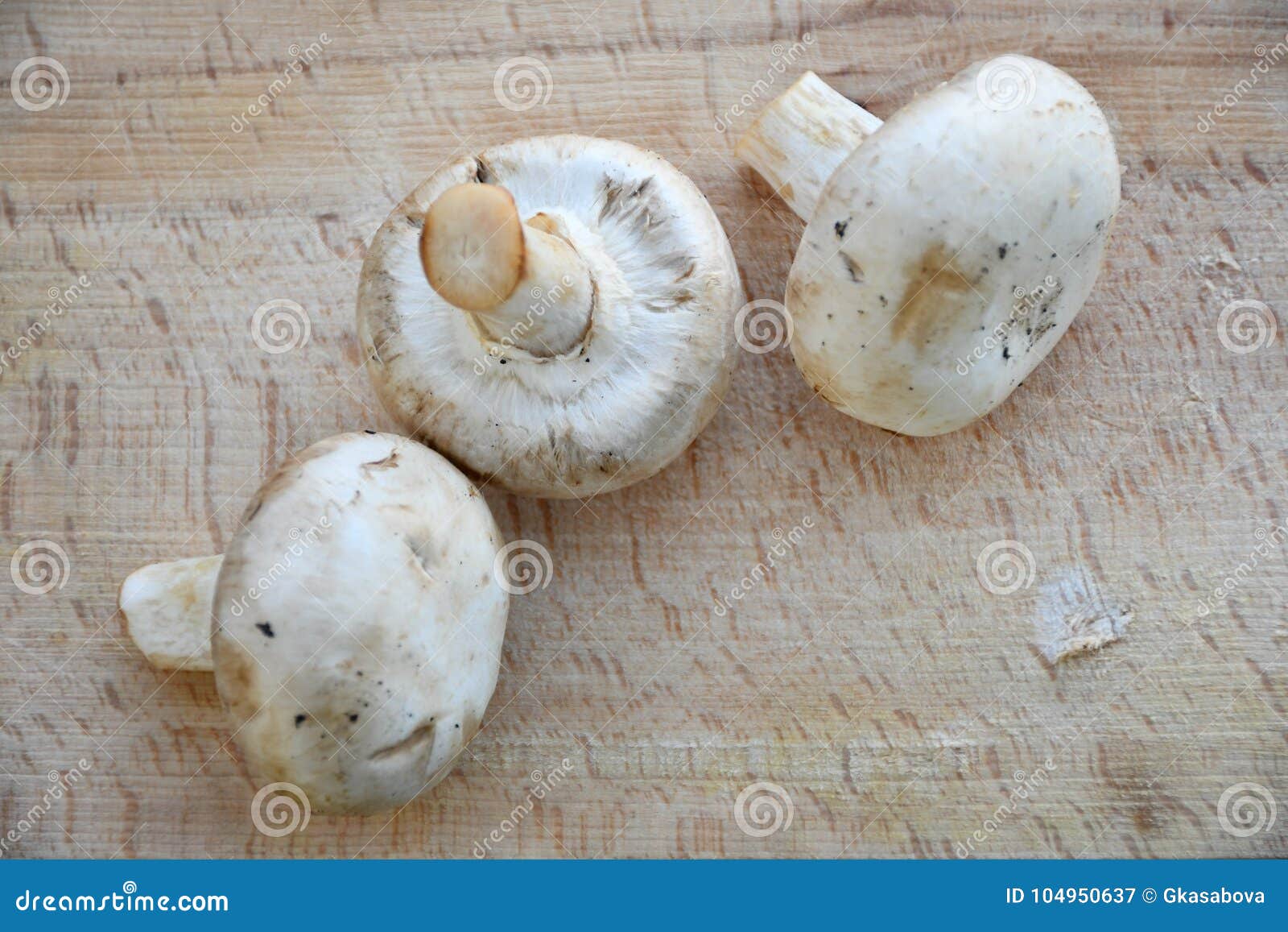 Champinjoner fotografering för bildbyråer. Bild av kock - 104950637