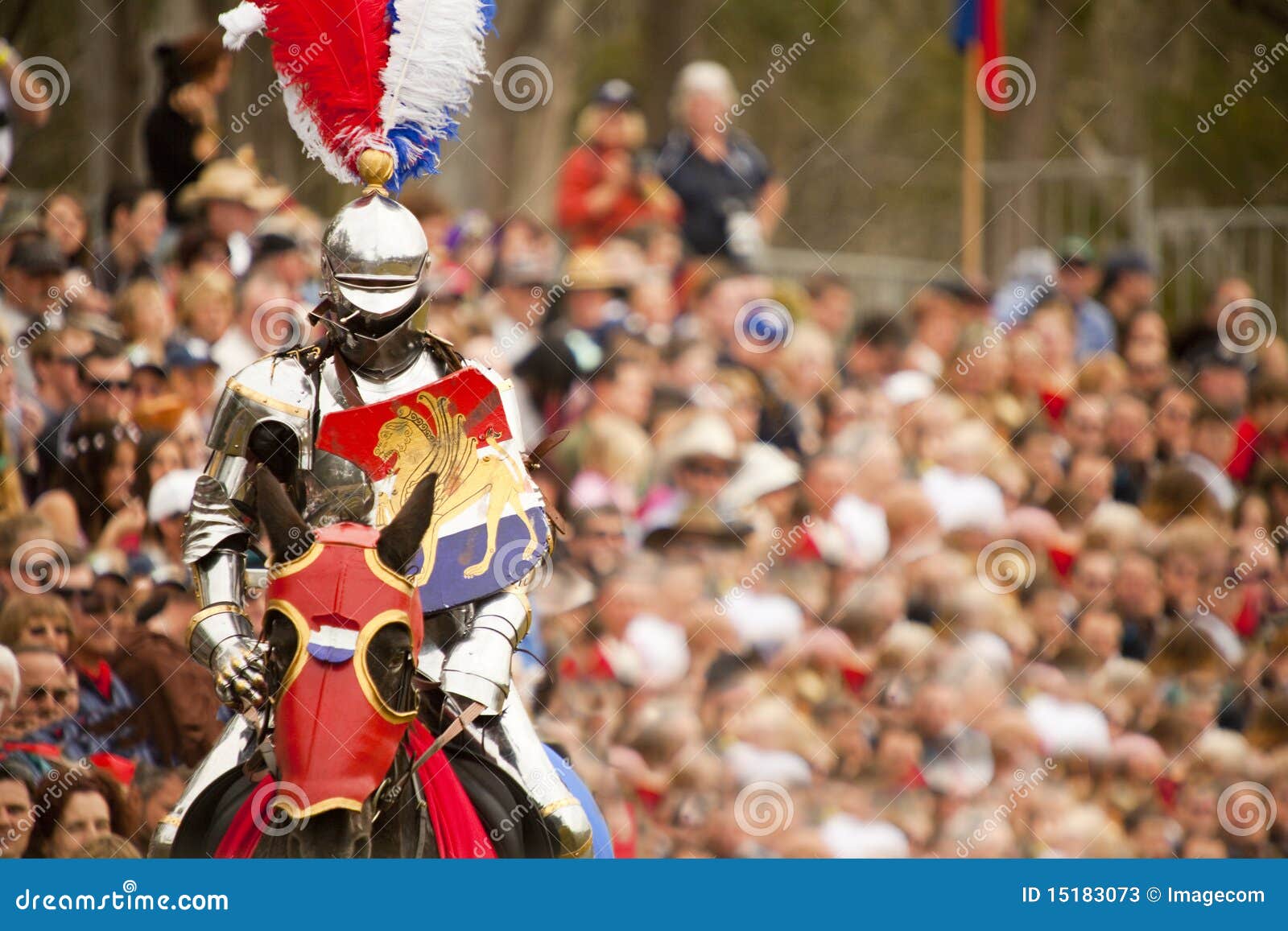 The champion editorial stock photo. Image of detail, battle - 15183073