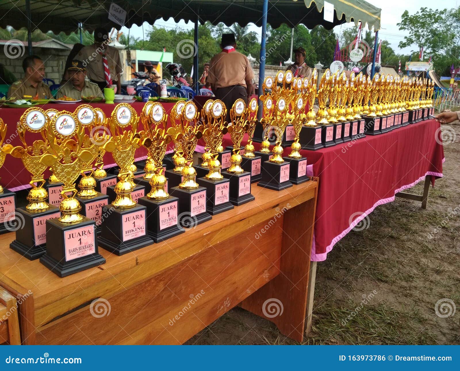 Champion Great Scout Trophy Gold Editorial Photo - Image of scout, gold ...