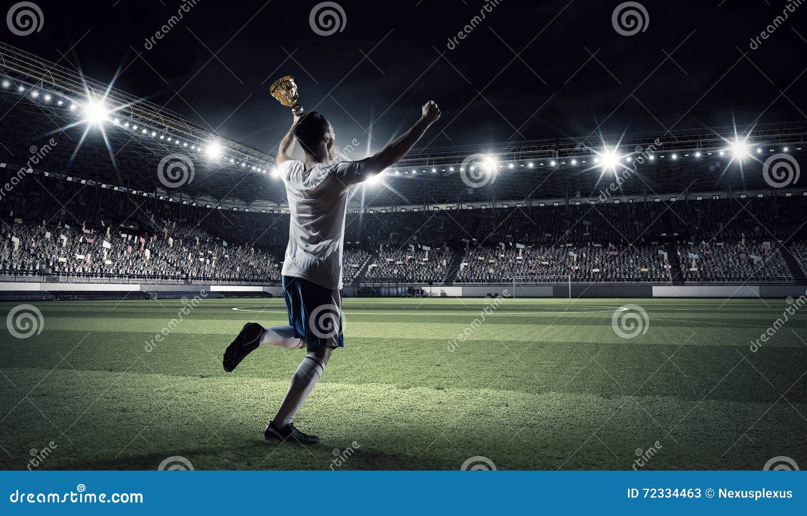 He is the champion stock image. Image of male, adult - 72334463