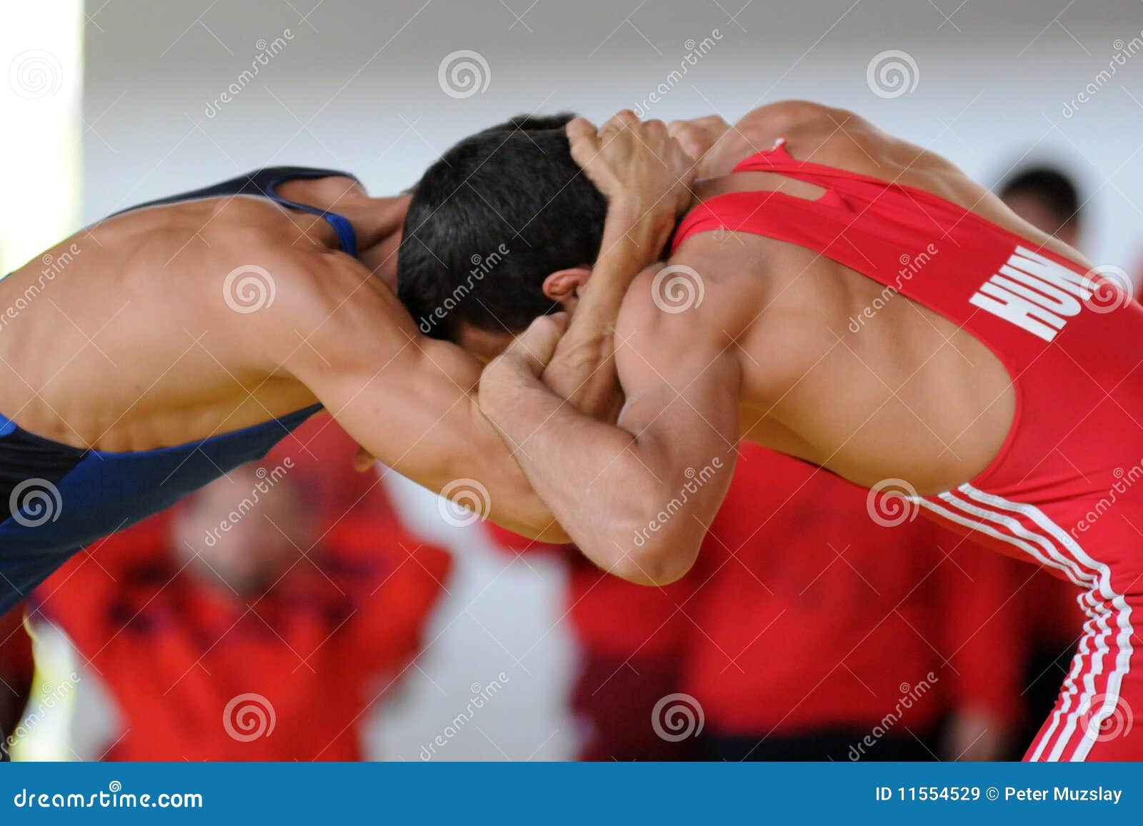 Championnat D'équipe De Lutte Image stock éditorial - Image du masculin ...