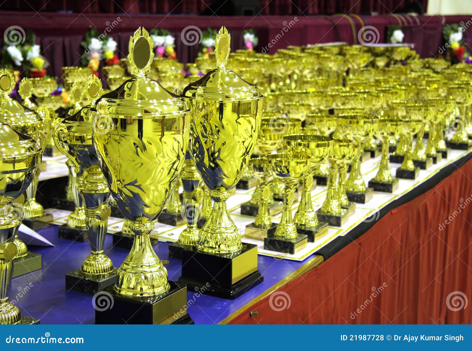 Champions Trophies Displayed in Award Ceremony Stock Photo - Image of ...