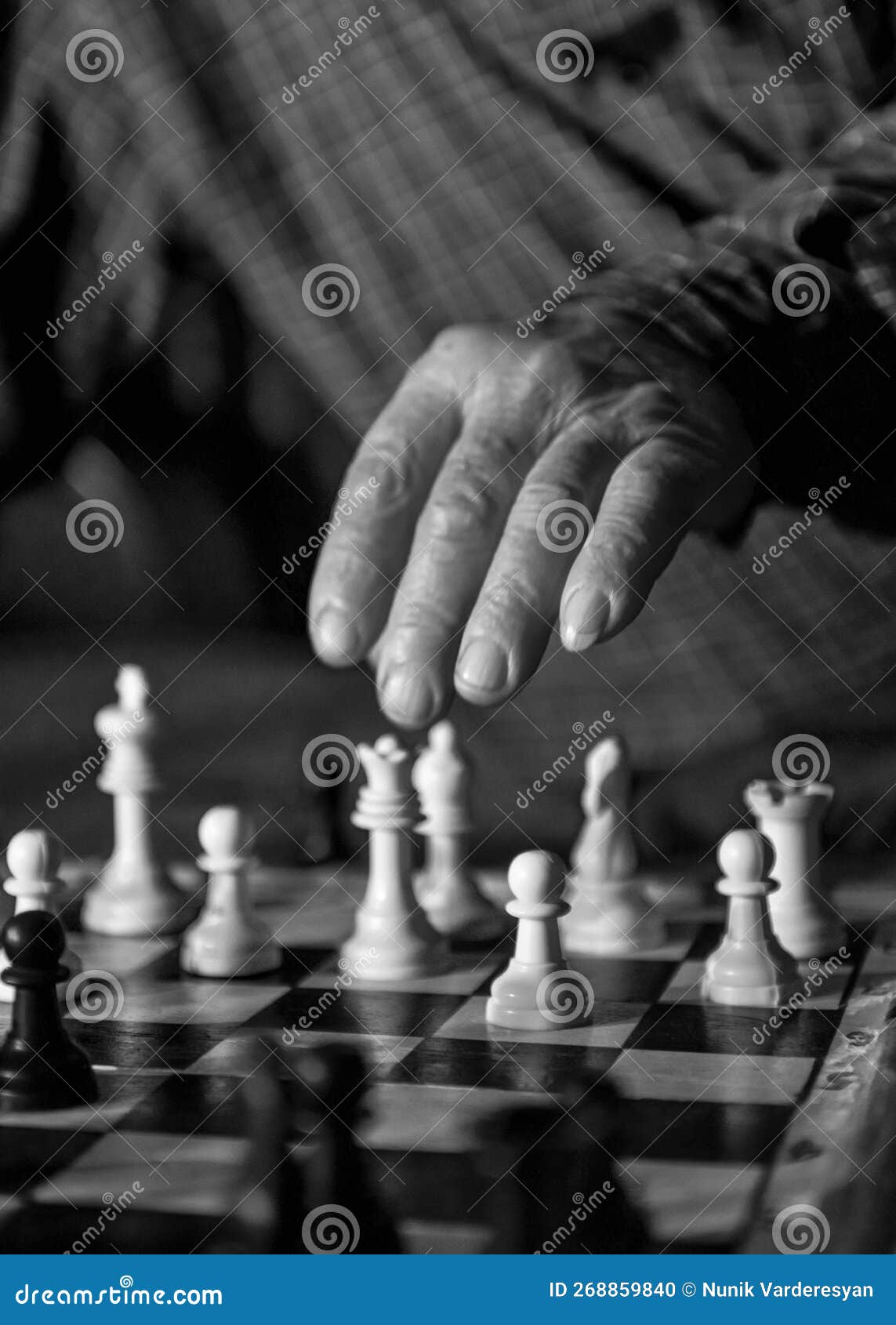 Championship Chess Tournament. Chess Board Stock Photo - Image of ...