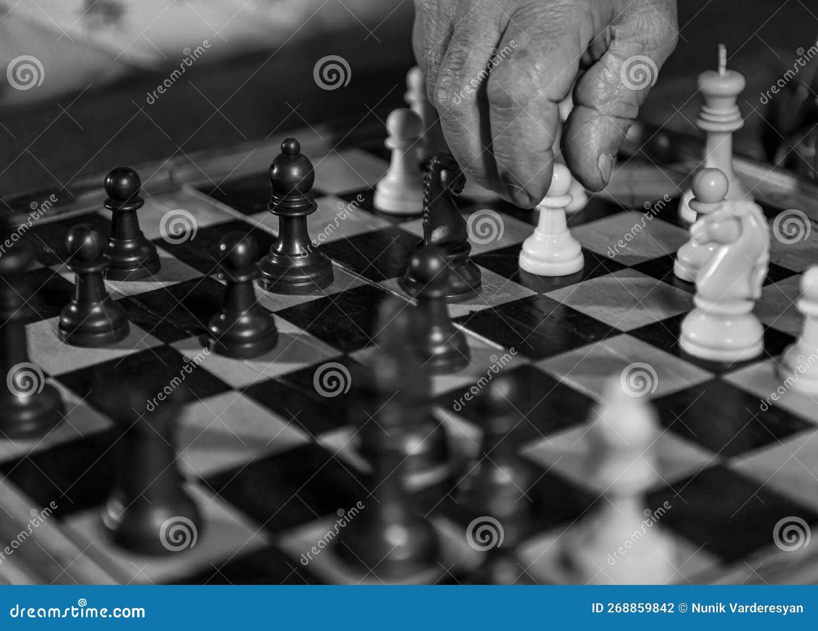 Championship Chess Tournament. Chess Board. we Play Chess Stock Photo ...