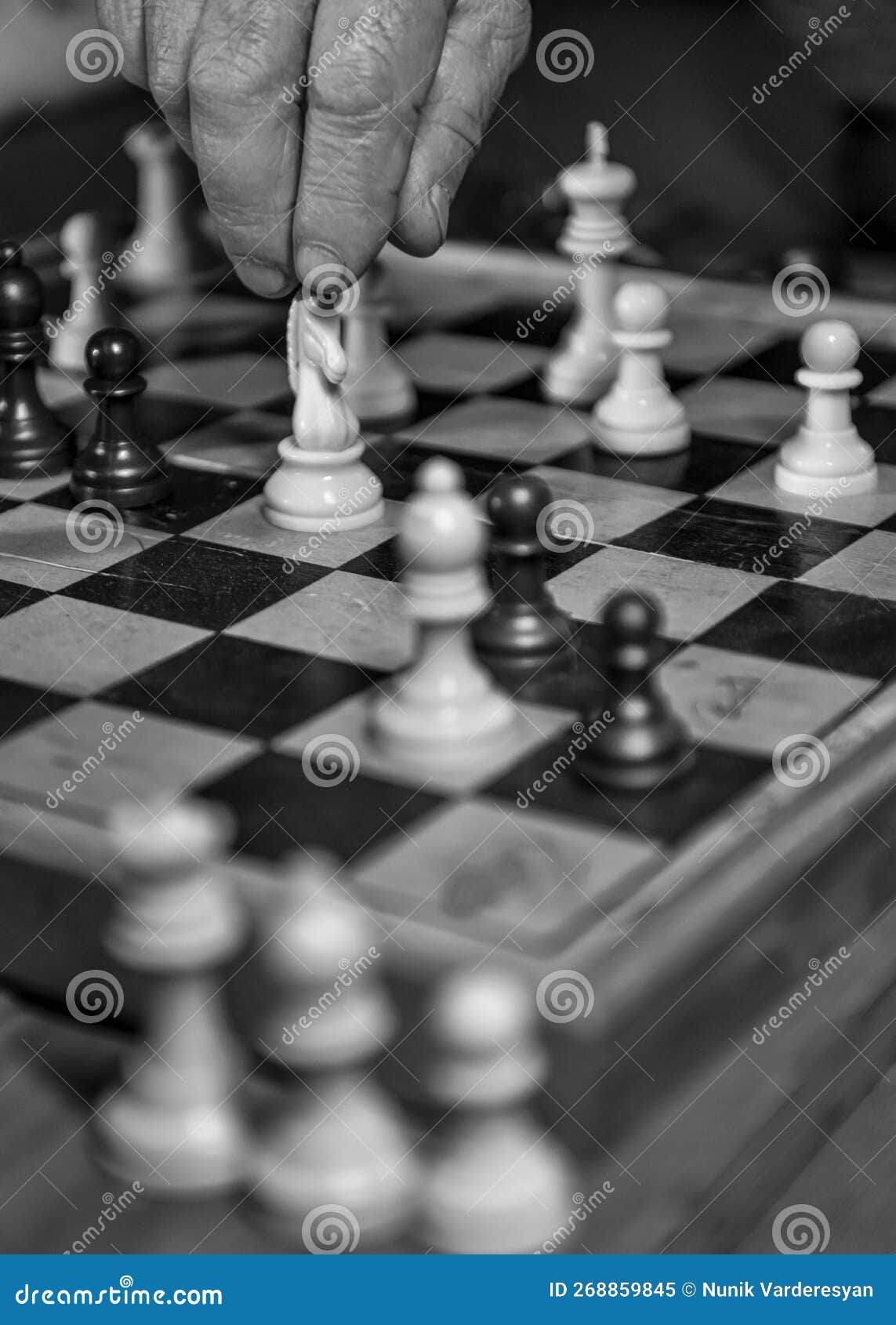 Championship Chess Tournament. Chess Board. we Play Chess Stock Image ...