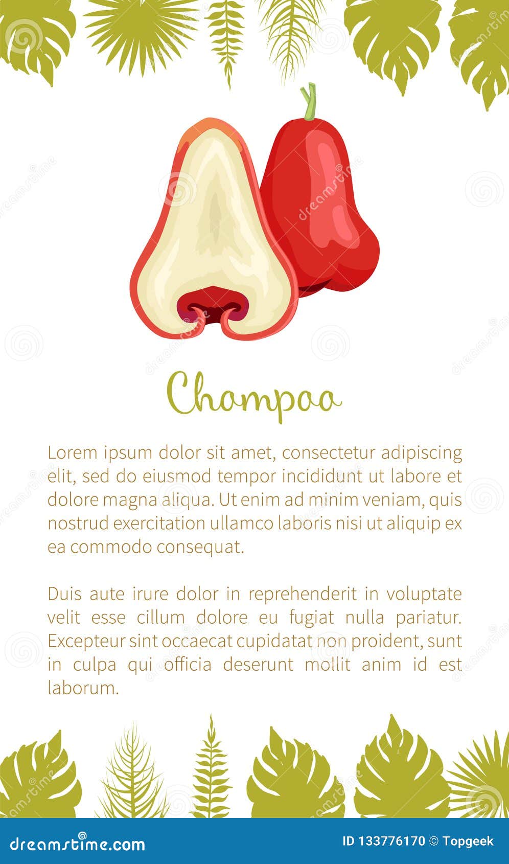 Champoo Exotic Ripe Fruit Vector Poster Java Apple Stock Vector ...