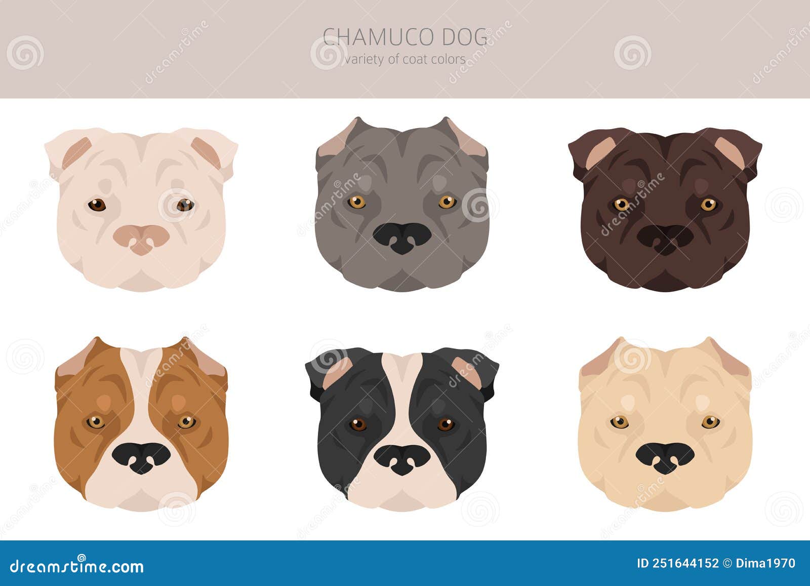 Chamuco Dog Clipart. Different Poses, Coat Colors Set Stock Vector ...