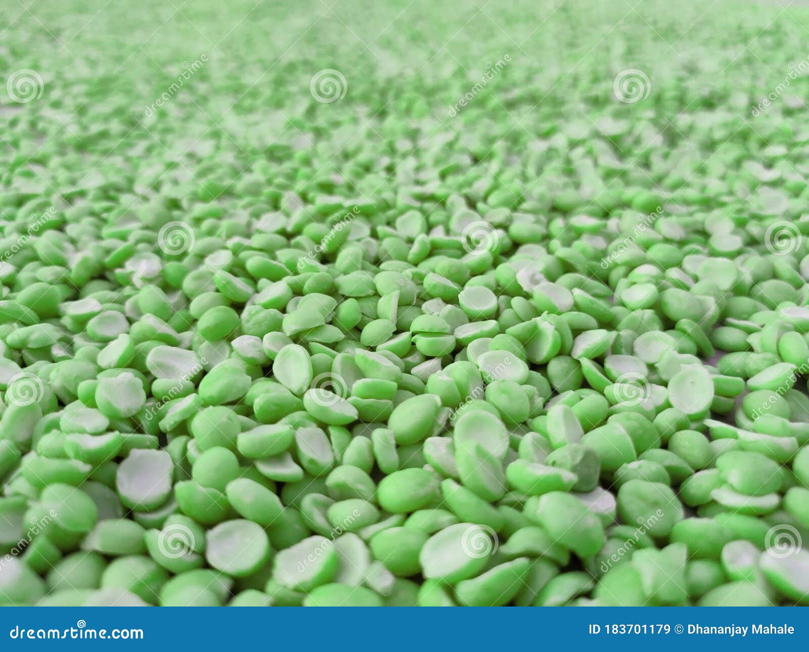 Chana Pulse Beautiful Green Color Stock Image - Image of fruit, food ...