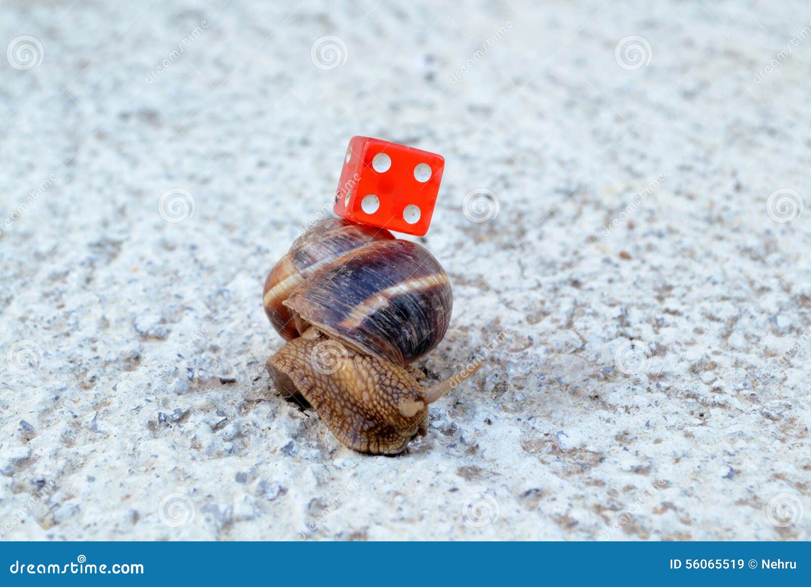 Chance in coming slow stock image. Image of shot, pattern - 56065519