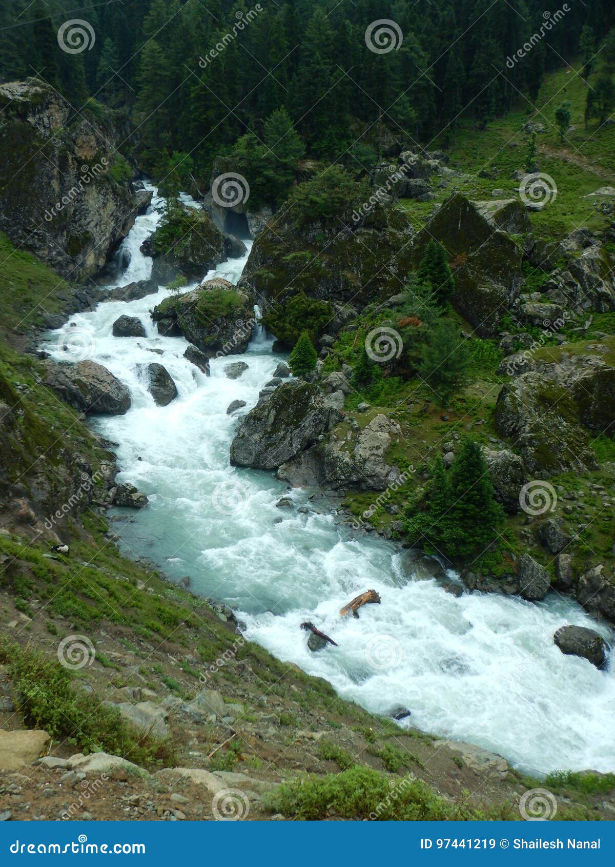 Chandanwari Krajobraz W Pahalgam-7 Obraz Stock - Obraz złożonej z ...