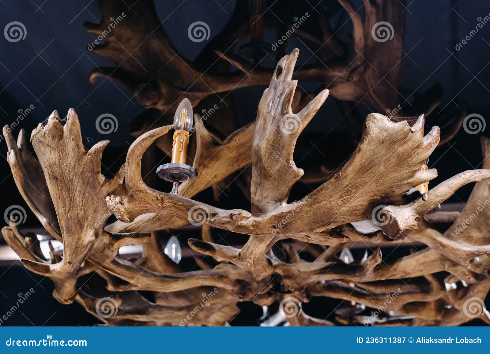 A Chandelier Made of Deer Antlers Hanging on the Ceiling of the ...