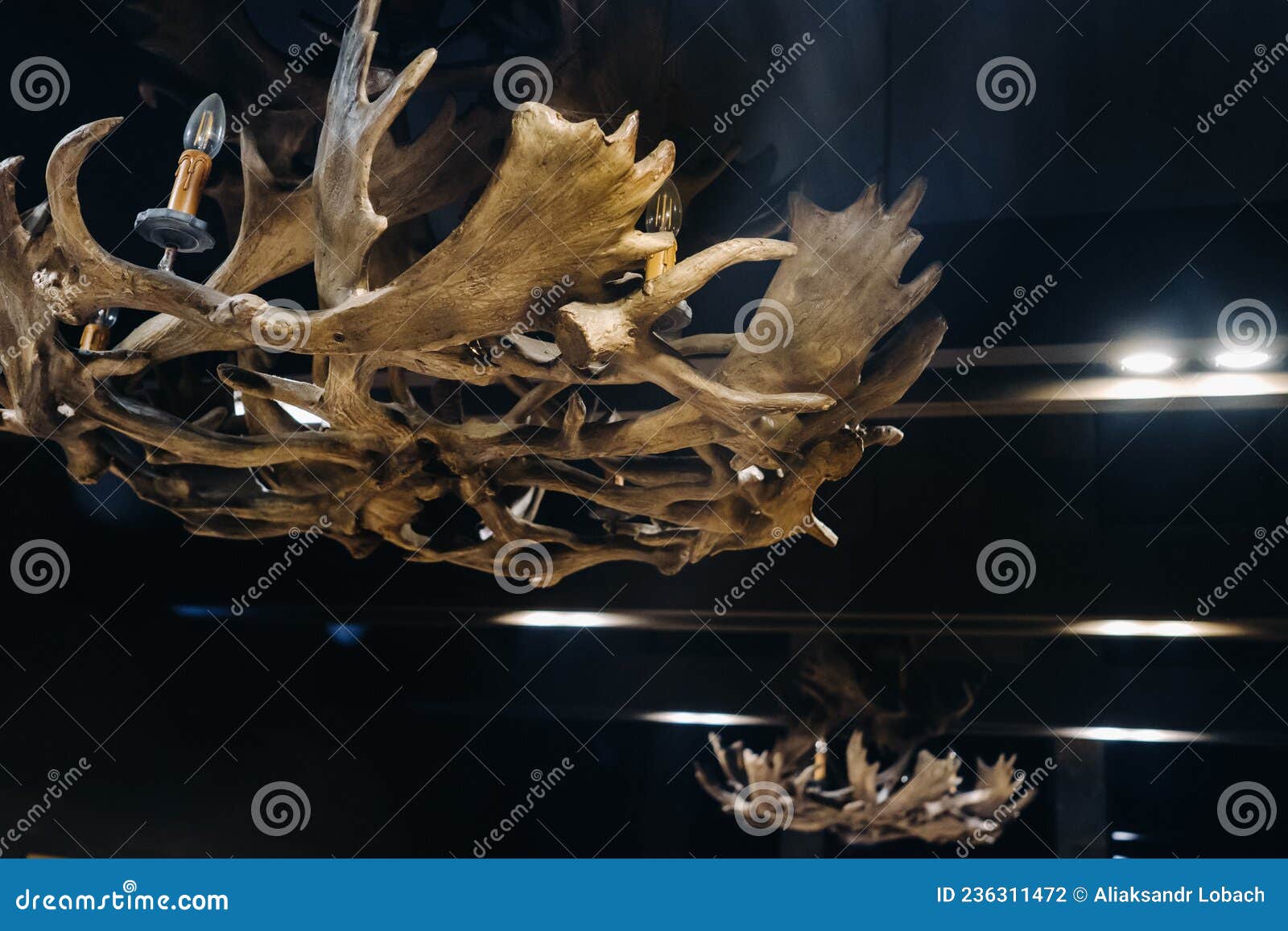A Chandelier Made of Deer Antlers Hanging on the Ceiling of the ...